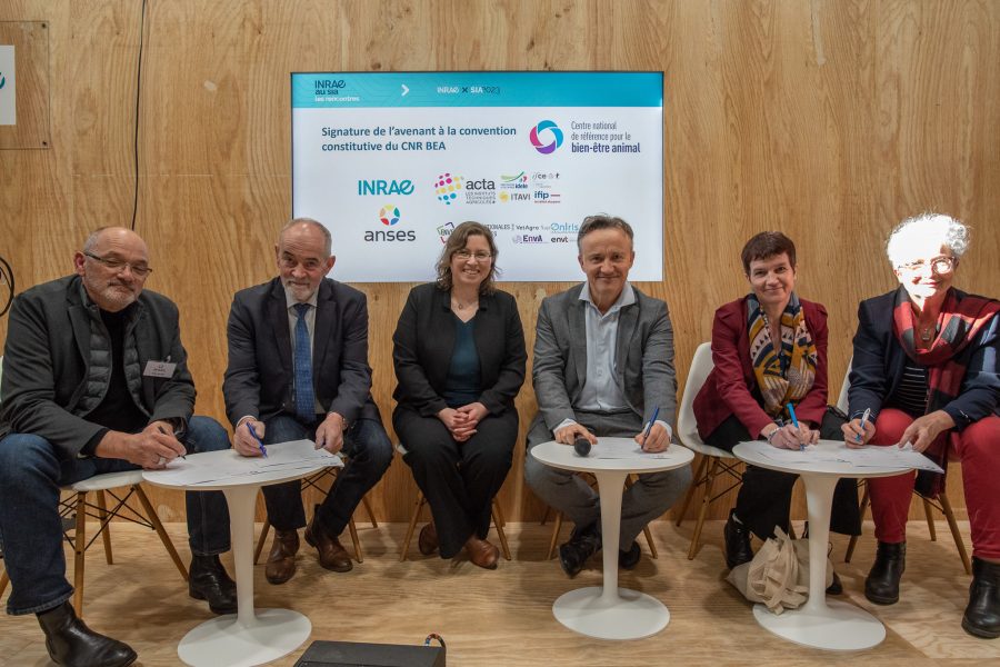 CNR BEA | Rencontre bien-être animal : Révision de la réglementation ...